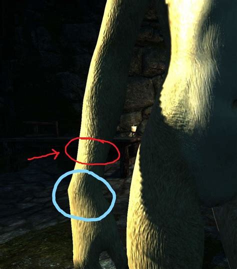 Yiffy Age Of Skyrim Page 156 Downloads Skyrim Adult And Sex Mods