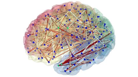New Paper Review In Diffusion Mri By Alessandra Griffa Et Al Epfl