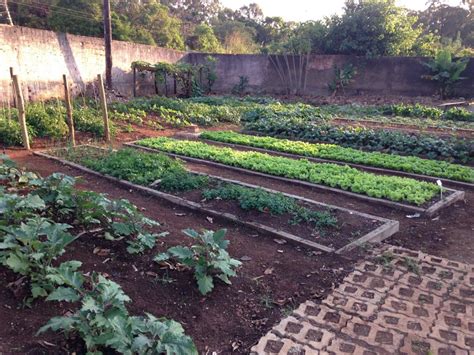 O Melhor Curso Sobre “horta Orgânica Em Casa” Horta Orgânica Em Casa