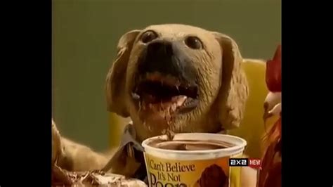 мем говорящий кот Бу Испугался Не бойся Я друг ТЕЛЕ ШОУ ВЕРСИЯ Youtube