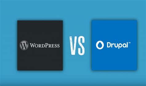 Drupal Vs Wordpress Who Is The Best Cms Illusion Groups