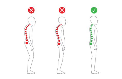 Is Your Body Out Of Alignment These Exercises Can Help BioTrust