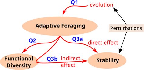 Overview Of The Main Questions Q1 Under Which Ecological Conditions Download Scientific