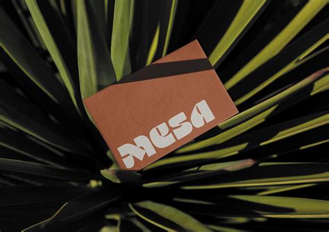 MESA On Behance