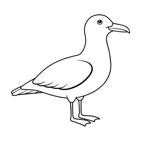 Página De Colorear Con Ilustraciones De Vectores De Gaviotas Para Niños