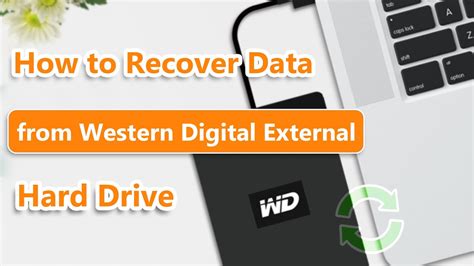 One Of The Best Tips About How To Recover Data From Wd Hard Drive Partnershipcopy