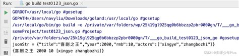 Go Json Csdn