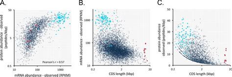 Figures And Data In Codon Usage Bias Controls Mrna And Protein Abundance In Trypanosomatids Elife
