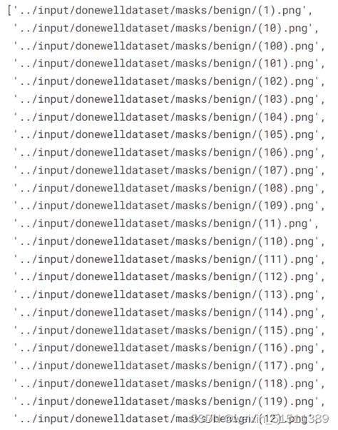 基于vggnet乳腺超声图像数据集分析busi数据集 Csdn博客