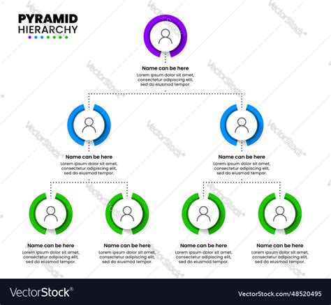 Infographic Template Pyramid Hierarchy With Space Vector Image