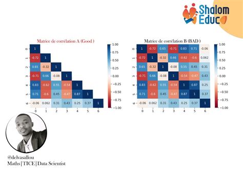Datascience Dataviz Python Delvas Allou