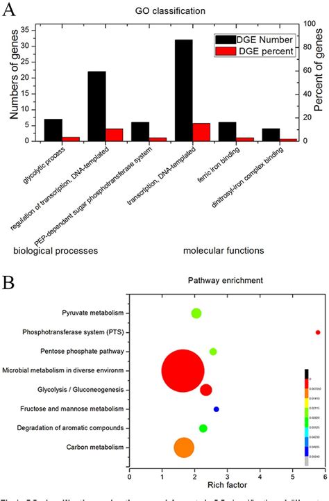 Figure 1 From Transcriptome Analysis Of Corynebacterium Glutamicum In The Process Of Recombinant