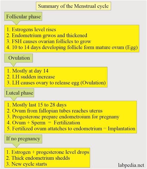 Normal Level Of Estrogen For Cycle 1 Day