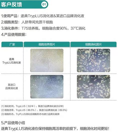 消化细胞组织的酶，该如何选择？ 知乎