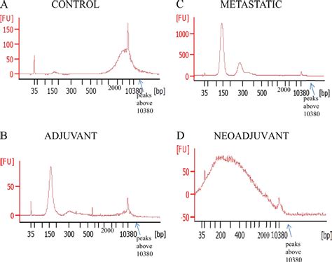 Representative Capillary Electropherograms Showing Dna Fragment Size