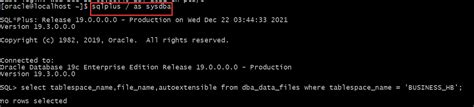 oracle19c 数据库备份还原 落泪秋 博客园