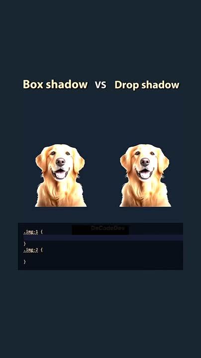 Video Sweta Upadhyay On Linkedin Linkedin Boxshadow Dropshadow Frontenddevelopment
