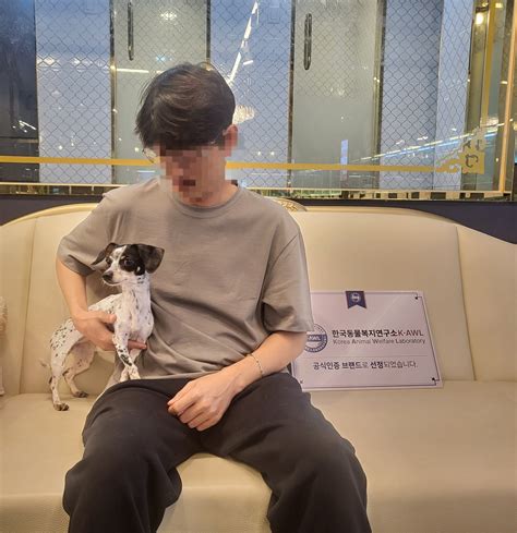 믹스견 쿠키 강아지책임분양 고양이책임분양 유기견책임분양 유기묘책임분양 연예인강아지분양하는곳 연예인고양이분양하는곳 골댕이무료분양 강아지입양보내기 고양이입양보내기 강아지분양