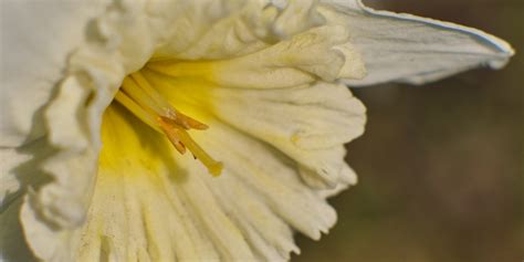 Elasticsearch 7 14 And OpenSearch 1 0 Are Available And Work Fine With Syslog Ng Blog