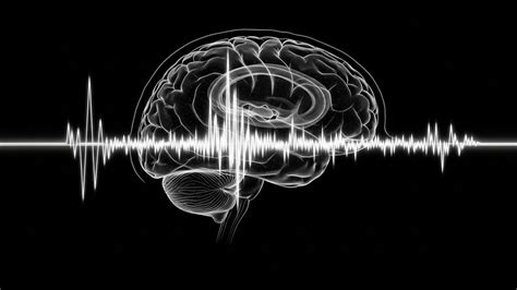 Does Consciousness Collapse The Wave Function A Controversial