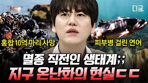 벌거벗은세계사 수온 상승으로 인해 떼죽음 당하는 바다 생명체들😱 지구 온난화로 인한 제주도의 충격적인 변화💥 인기