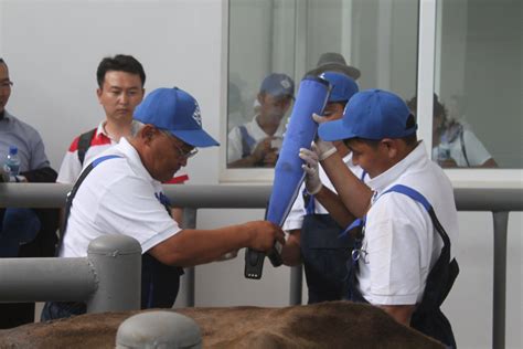 МАЛЫН УДМЫН САНГИЙН ҮНДЭСНИЙ ЦОГЦОЛБОР АШИГЛАЛТАД ОРЛОО