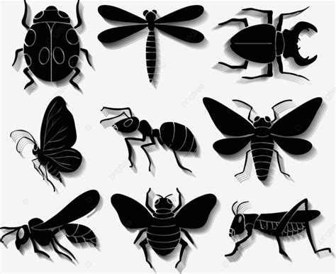 Set Of Insects Jointed Hexapoda Insectum Vector Jointed Hexapoda