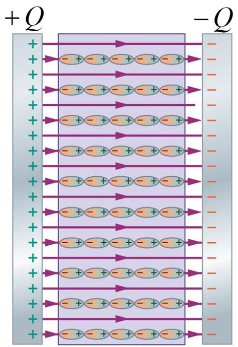 How Does A Dielectric Increase The Capacitance Of A Capacitor At Jonathan Whelchel Blog