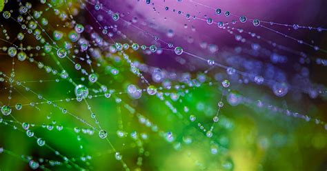 Ftse Bitcoin Index Nano Futures