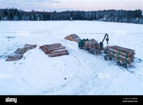 Loading Wood Truck Next To Pile Of Timber And In Front Of A Forest In