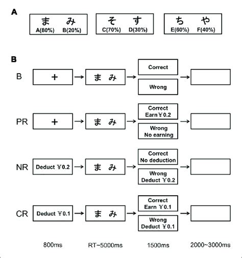 Overview Of The Training Phase In The Probabilistic Learning Task