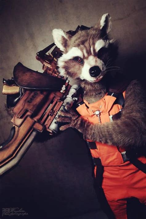 Impressive Rocket Raccoon Cosplay From Guardians Of The Galaxy — Geektyrant