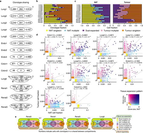 Clonotype Sharing And Tissue Expansion Patterns A Tcr Sharing Across Download Scientific