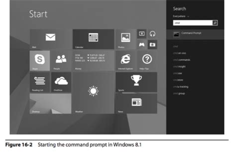 Chapter 16 Working With The Command Line Interface Flashcards Quizlet