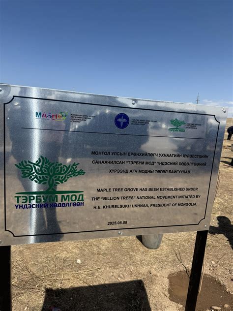 Тэрбум Мод Үндэсний Тэрбум Мод Үндэсний Хөдөлгөөн