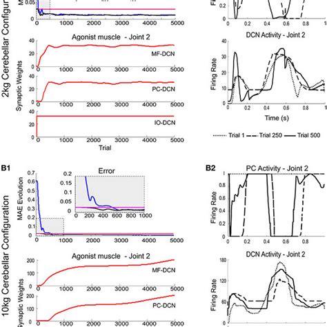 The Cerebellum Operating In A Feedforward Control System A The Mossy Download Scientific