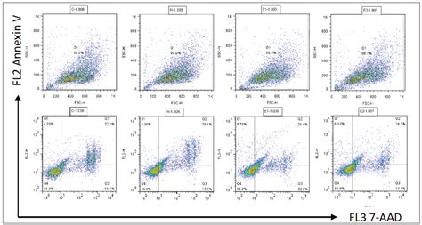 Atp2c1 Knockdown Induces Abnormal Expressions Of Cytoskeletal And Tight