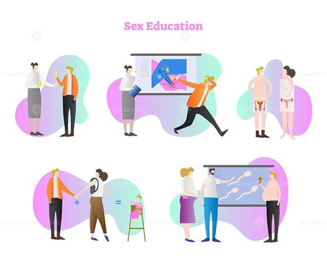 FREE Sex Education Vector Illustration Collection Set VectorMine
