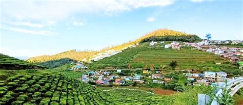 Plan Your Winter Trip To Ooty Mandatory E Pass Attractions And More