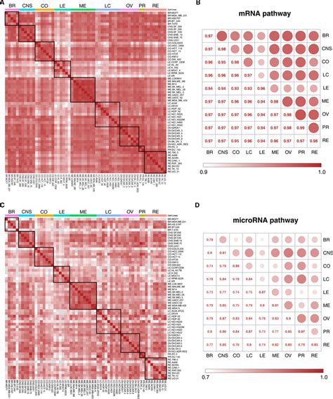 Cellcell And Tissue‐of‐origin Correlation Pearson Correlation