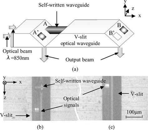Measurement Of Near Field Patterns A Measurement Points Of The Download Scientific Diagram