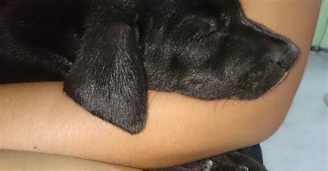 Meet Insert Name Album On Imgur Meet Insert Name Album On Imgur