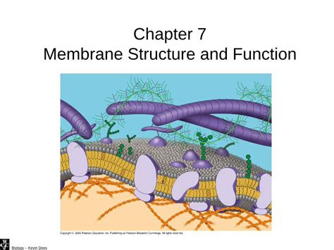 PDF Chapter Membrane Structure And Functionfacultyweb Wcjc Edu Users Kevind Biology Chapter