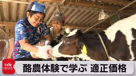 牛の乳しぼりや餌やり体験 食品値上げの中で考える適正価格2023年8月20日 YouTube