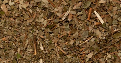 Sassafras Root Barkleaf Sassafras Officinale Top Quality Herbs