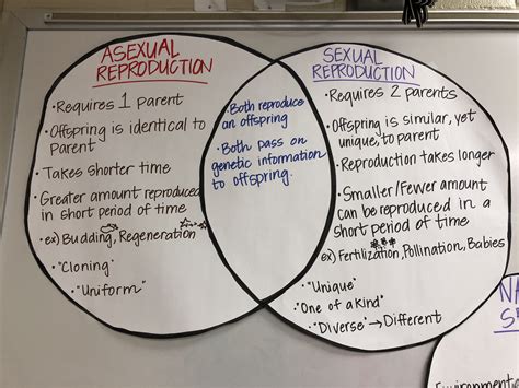 Sexual Response Stages Vs General Adaptation Syndrome Venn D