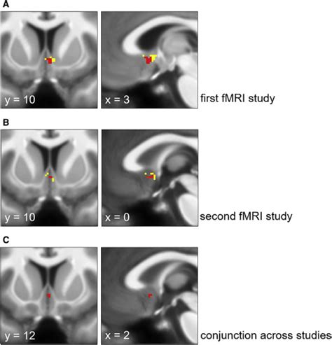 Hierarchical Prediction Errors In Midbrain And Basal Forebrain During Sensory Learning Neuron
