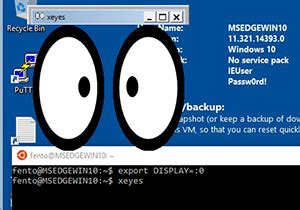 Hands On With WSL Running Graphical Apps Virtualization Review