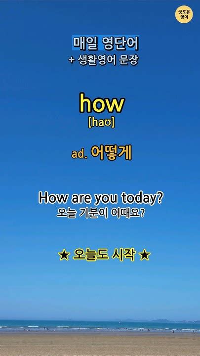 기초영어교육부지정 필수 영어단어초등 수준영단어와 생활영어를 함께매일 영어단어영어문장 따라하기언어반복의 힘매일반복 Youtube