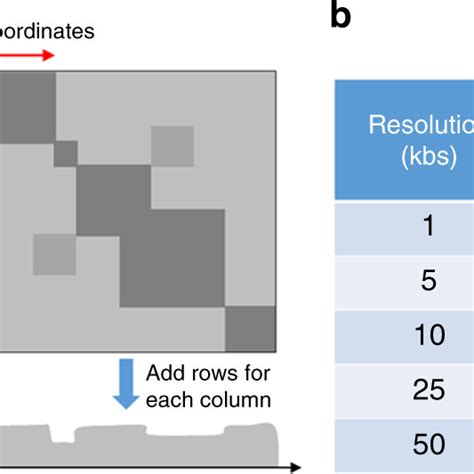 Representation Of The Linking Attack That Utilizes Hi C Interaction Download Scientific Diagram